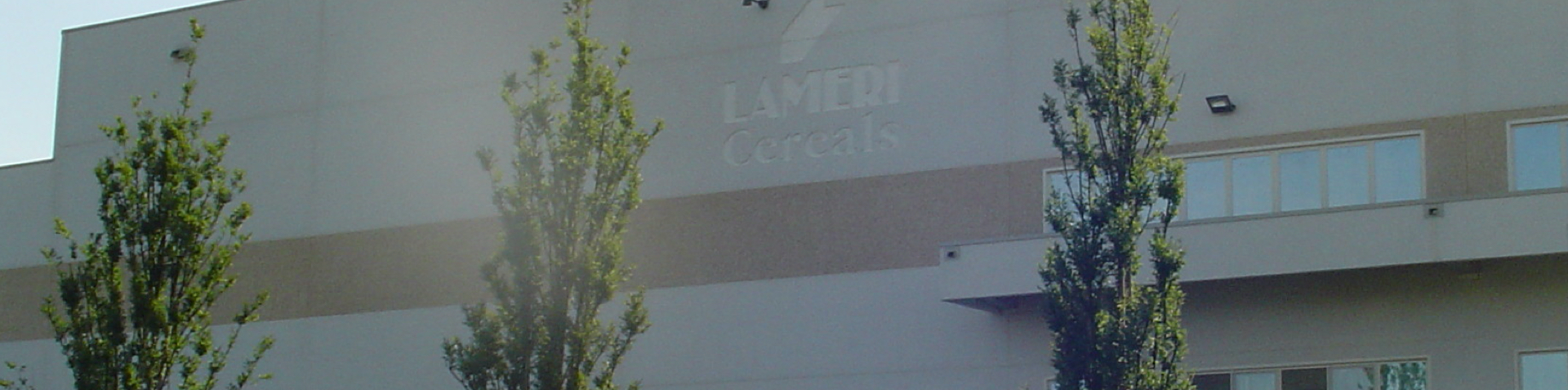 Lameri | PeplinkSolutions